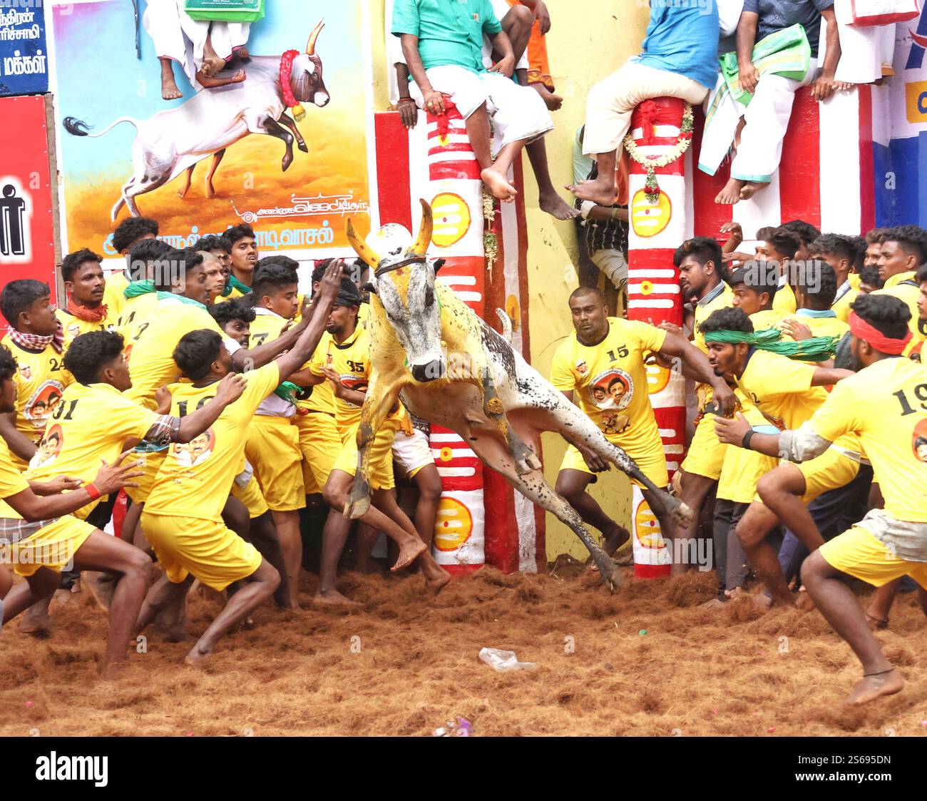 Jalli Kattu : Avaniyapuram Madurai. 2025 Jallikattu (or Sallikkattu ...