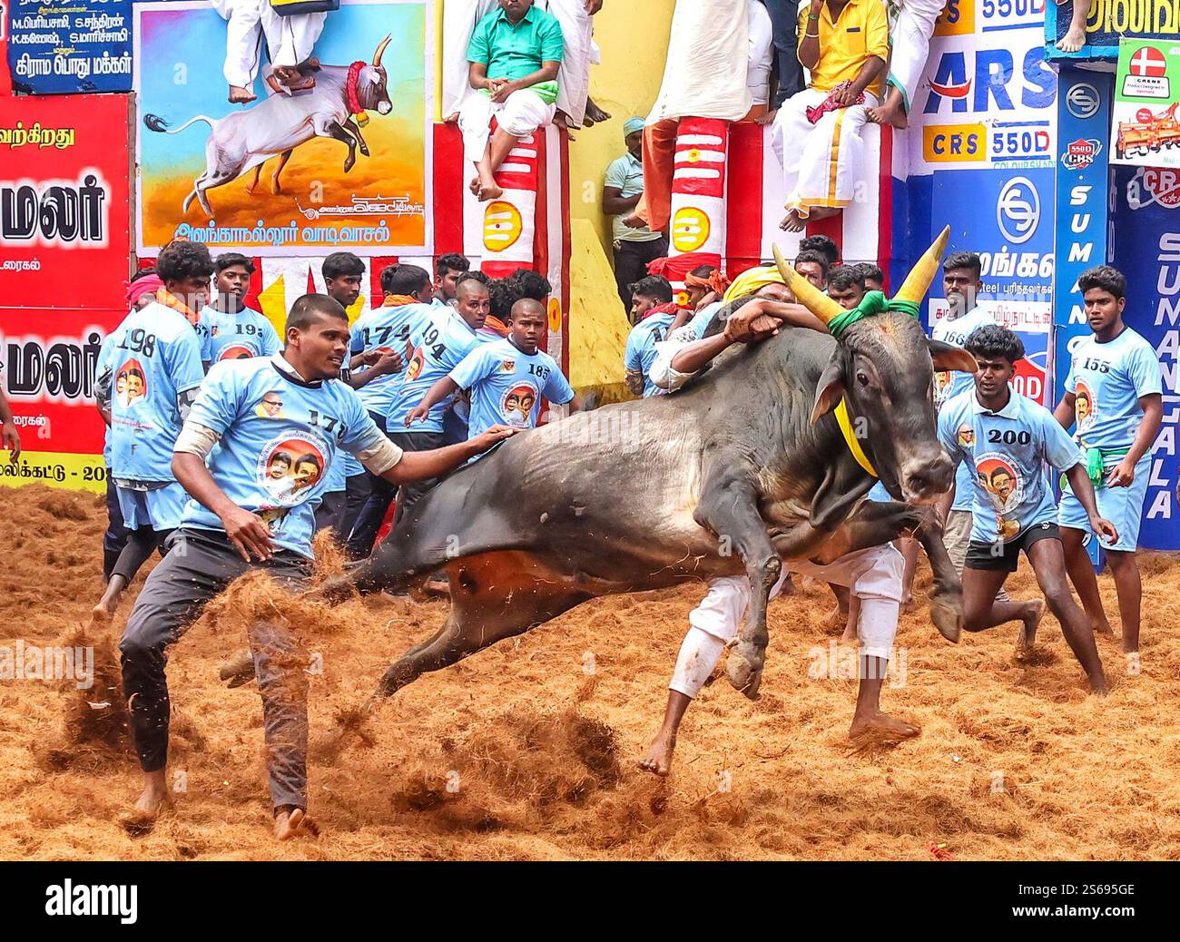 Jalli Kattu : Avaniyapuram Madurai. 2025 Jallikattu (or Sallikkattu ...