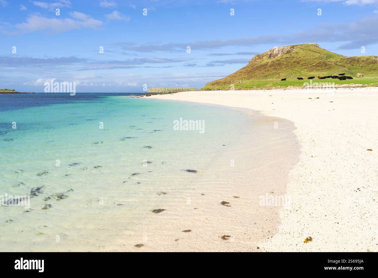 Coral Beach Scotland - The long deserted sandy beach at the Coral Beach ...