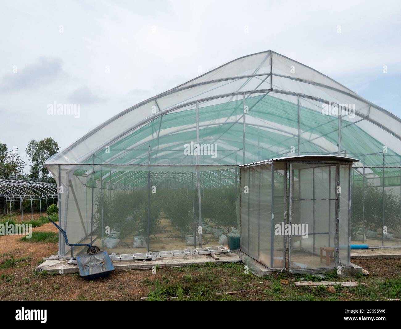 A sustainable greenhouse located on a scenic mountain orchard, crafted for fruit and plant ...