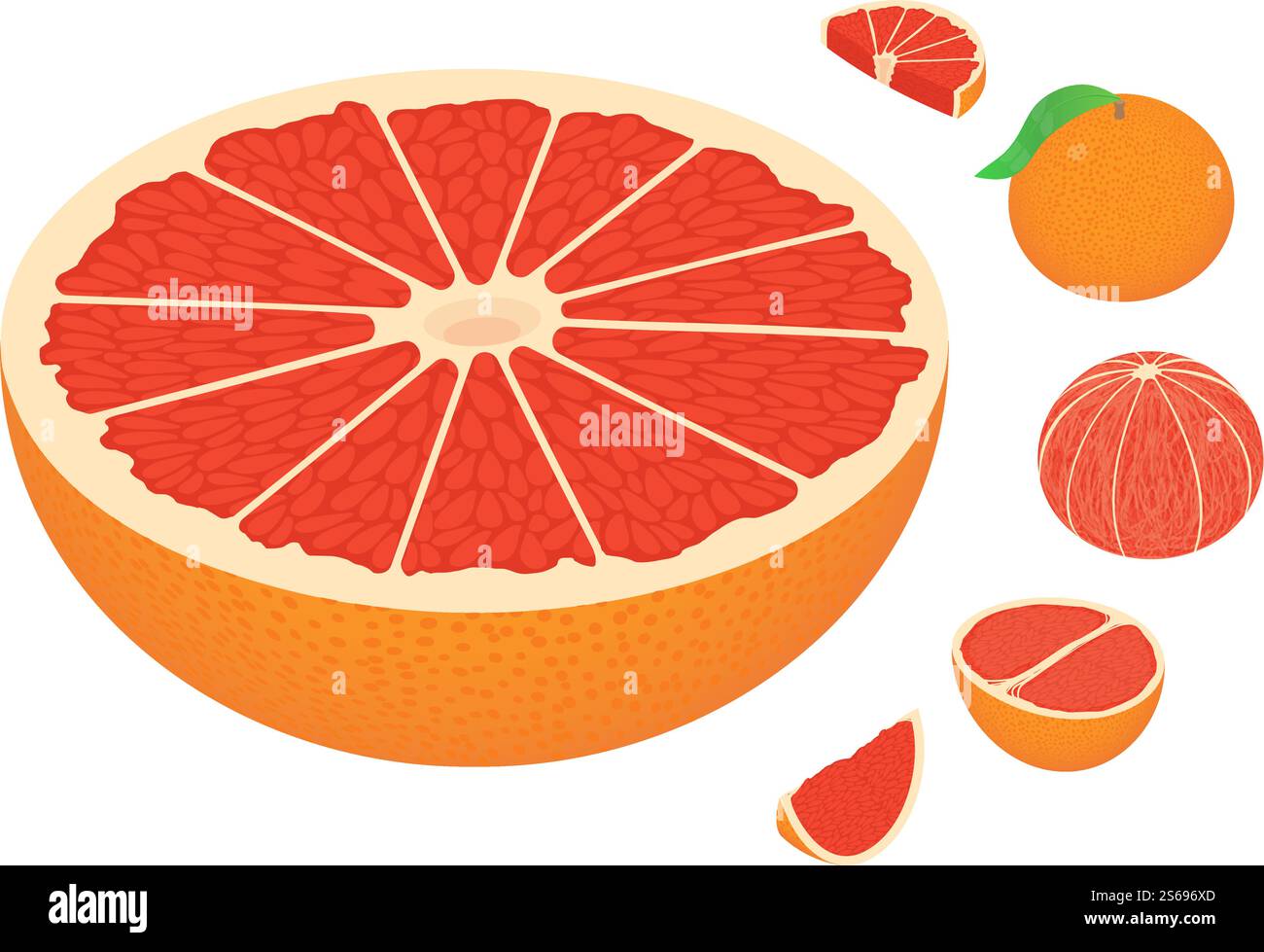 Grapefruit icons set. Isometric set of grapefruit vector icons for web design isolated on white ...