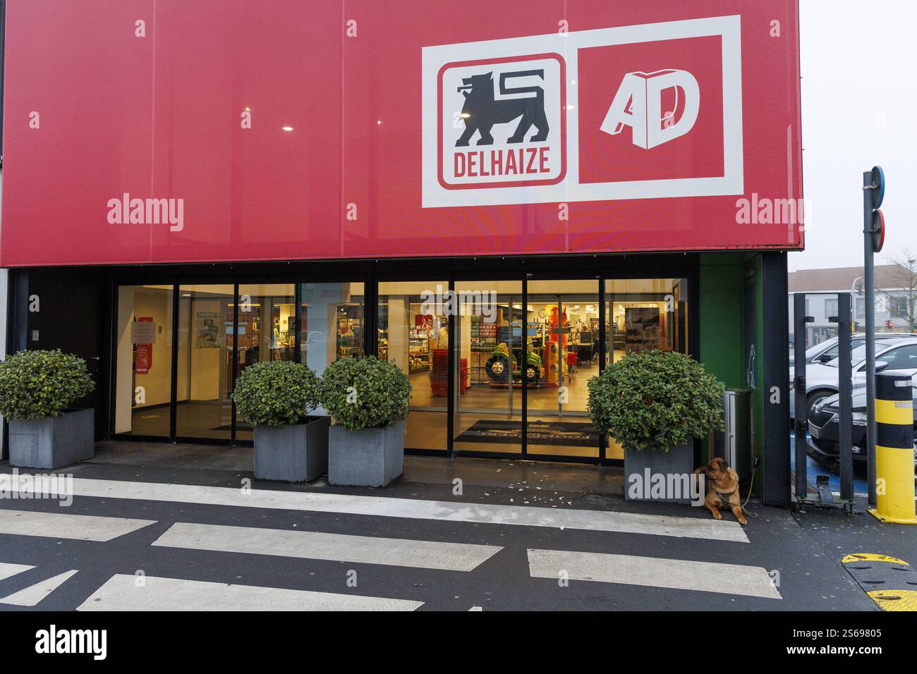 Merelbeke, Belgium. 16th Jan, 2025. The AD Delhaize logo pictured at a ...
