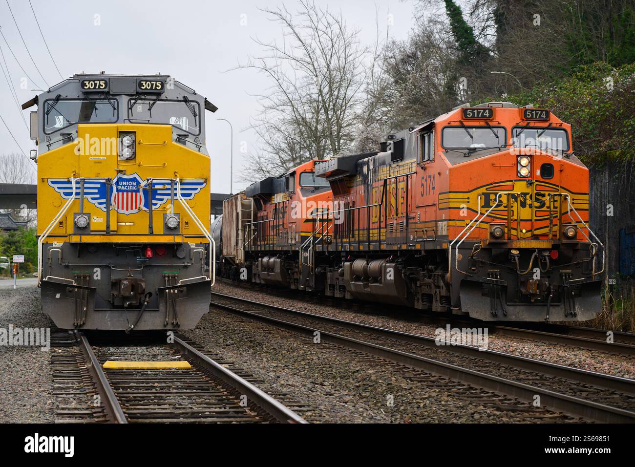 Tacoma, WA, USA - January 14, 2025; BNSF and Union Pacific Class I freight railroad locomotives ...