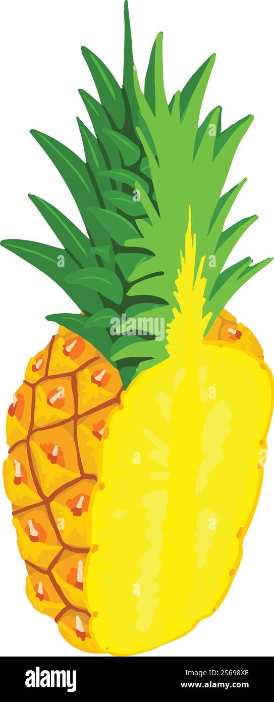 Half cutted pineapple icon. Isometric of half cutted pineapple vector ...