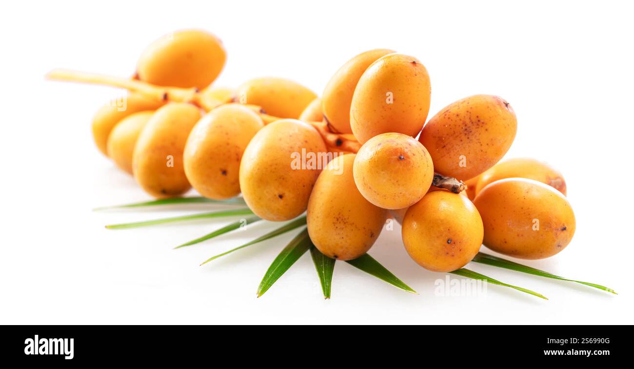 Cluster of yellow fresh dates, or date palm fruits lie on palm leaves ...