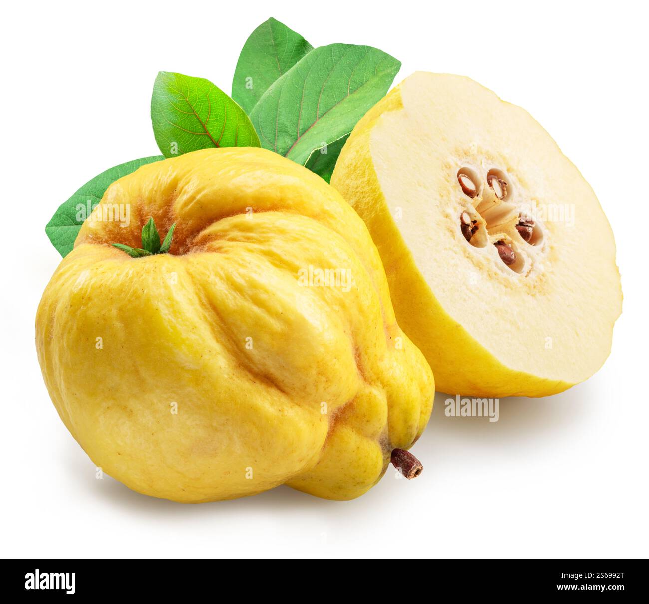 Quince with green leaves and cross section of quince, on white ...