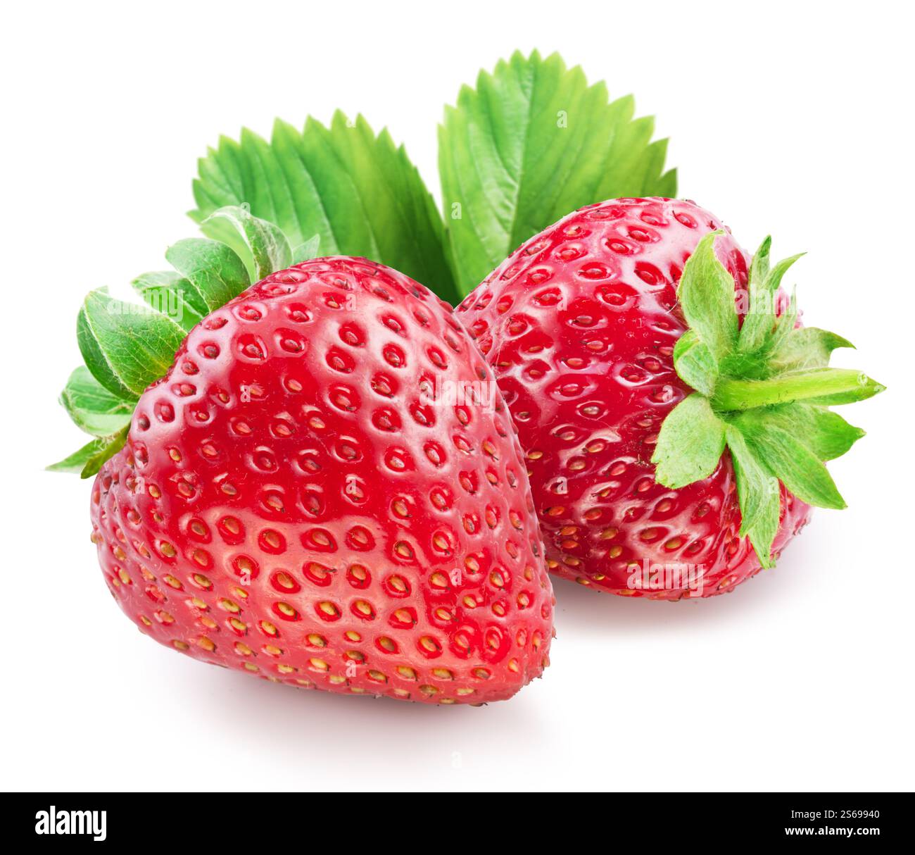 Two ripe red strawberries with leaves isolated on white background ...