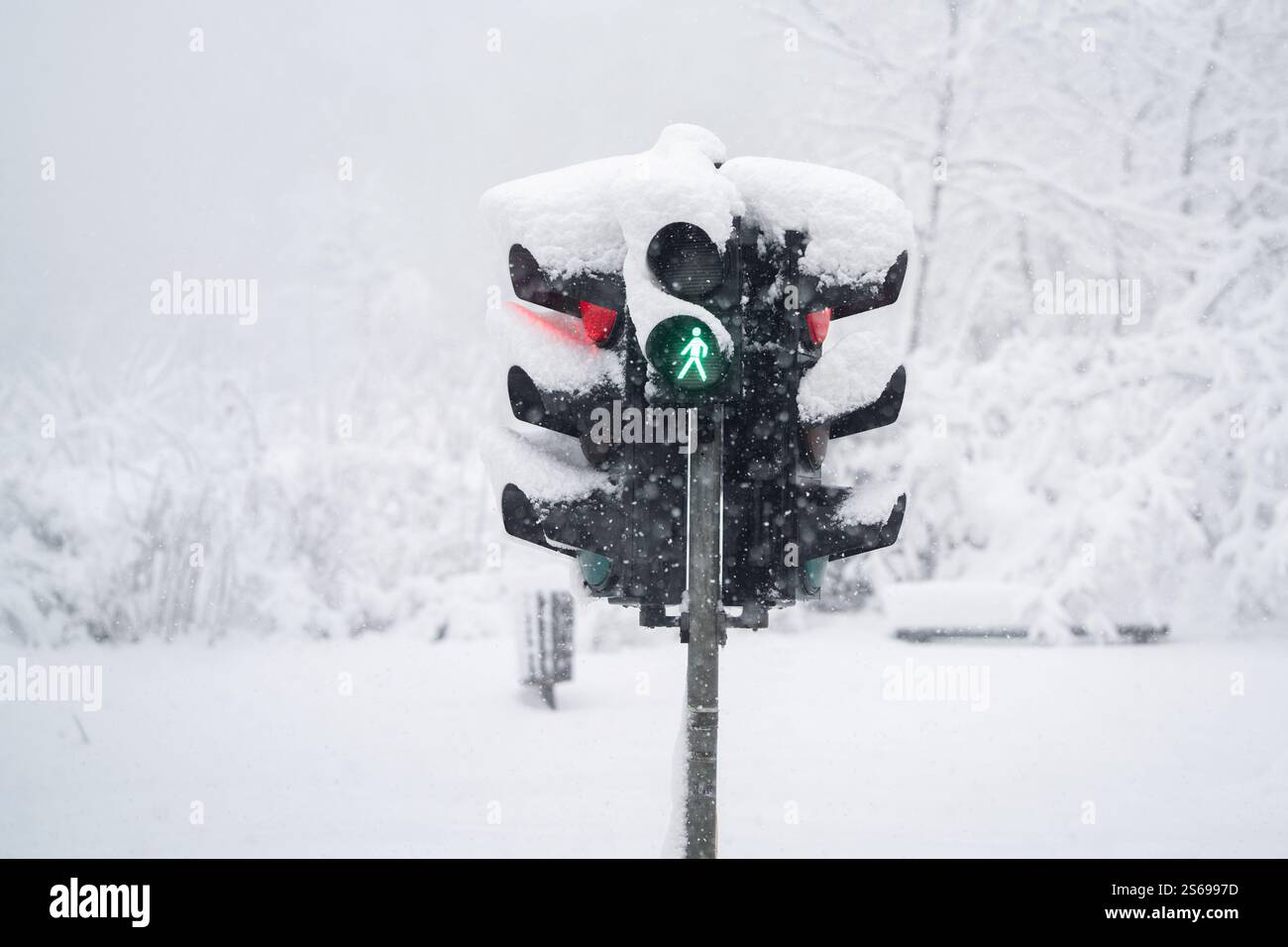 Traffic light covered with snow Stock Photo - Alamy