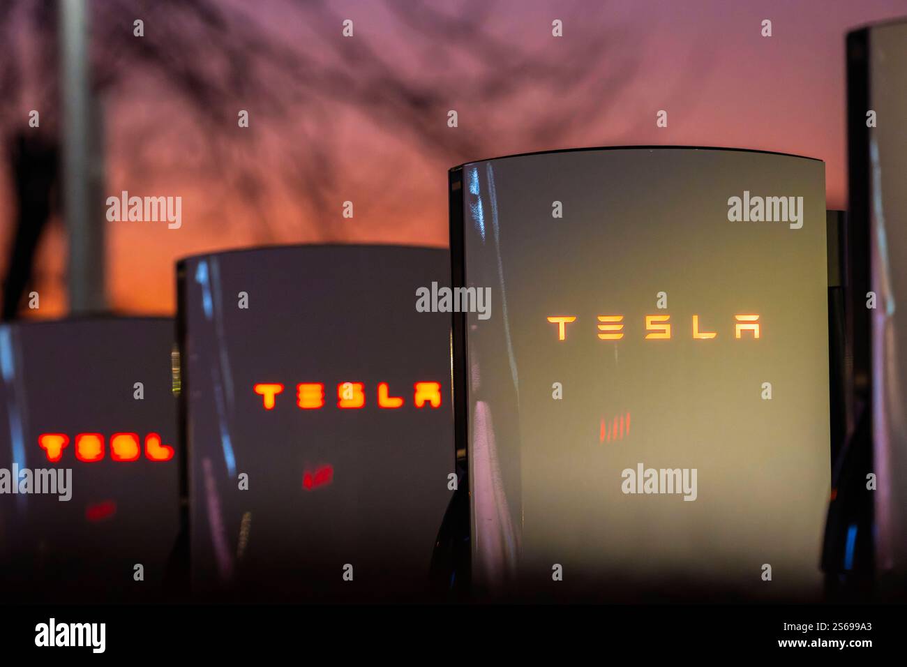 16.01.2025, Bernau am Chiemsee, Felden Bayern, Die US-Firma Tesla hat ...