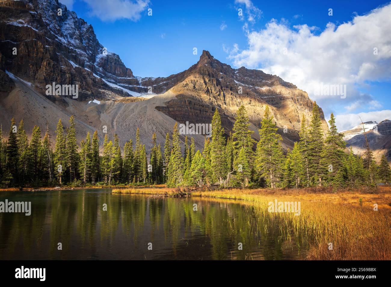 Morning sunlight illuminates Bow Lake in Alberta, Canada, surrounded by ...