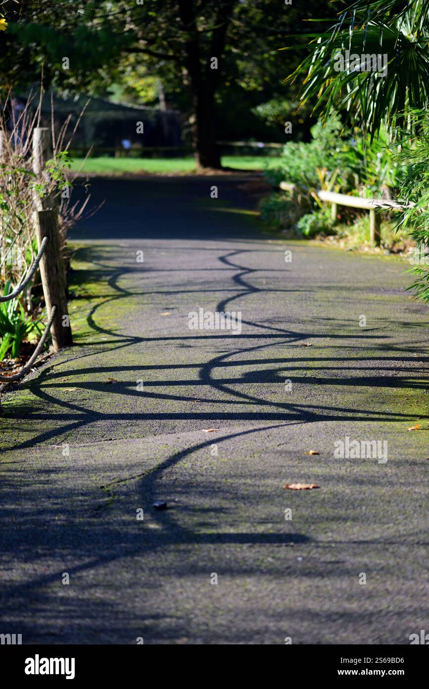Rope fence shadows on a tarmac path at Paignton zoo Stock Photo - Alamy