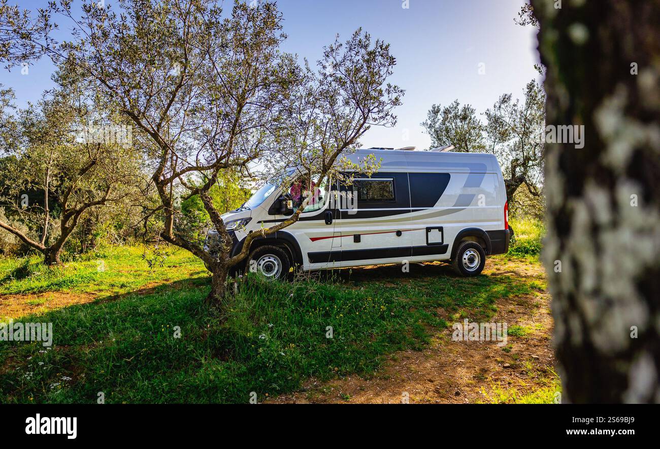 Campervan or motorhome is parked in an olive grove garden in nature ...