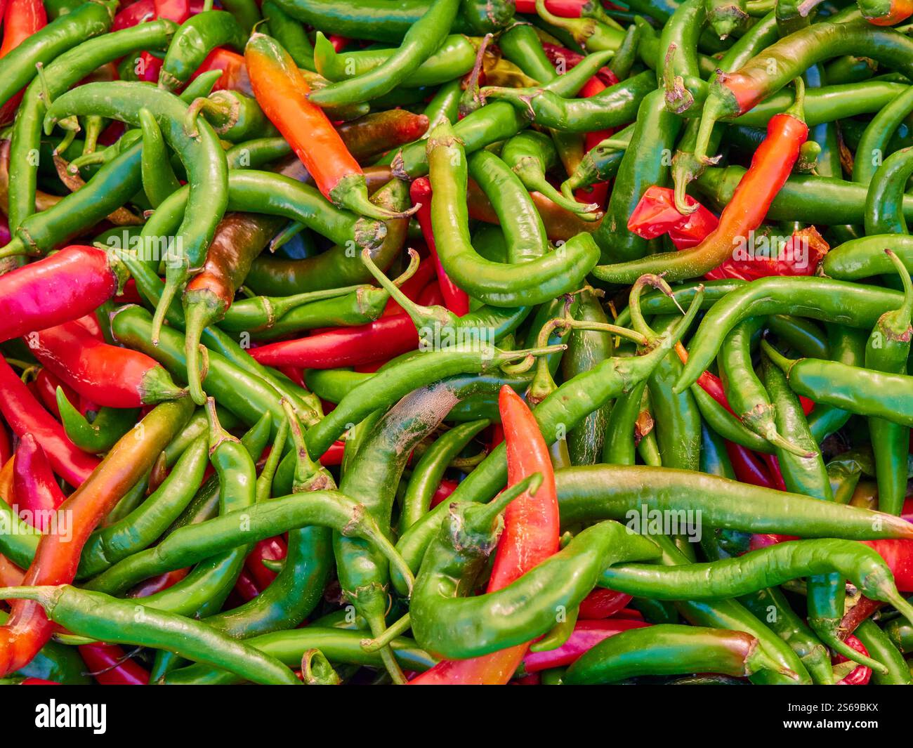 Red and green hot chili peppers on display at a farmers market Stock ...
