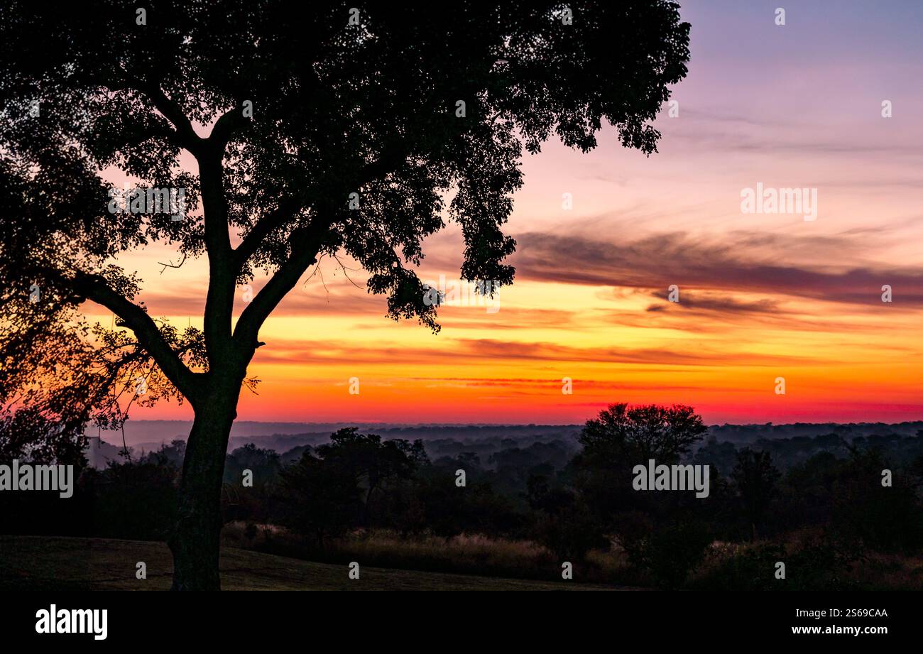 Dramatic colourful sunrise with tree silhouettes over African bush at ...