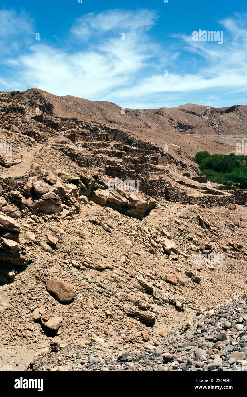 Pukara de Quitor is a hilltop ruin of a pre-Columbian stone fortress ...