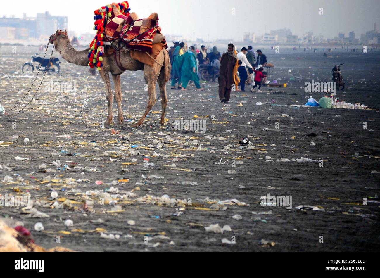 View of garbage lay along with Sea View Beach creating problems for ...