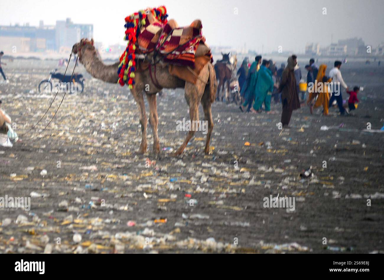 View of garbage lay along with Sea View Beach creating problems for ...