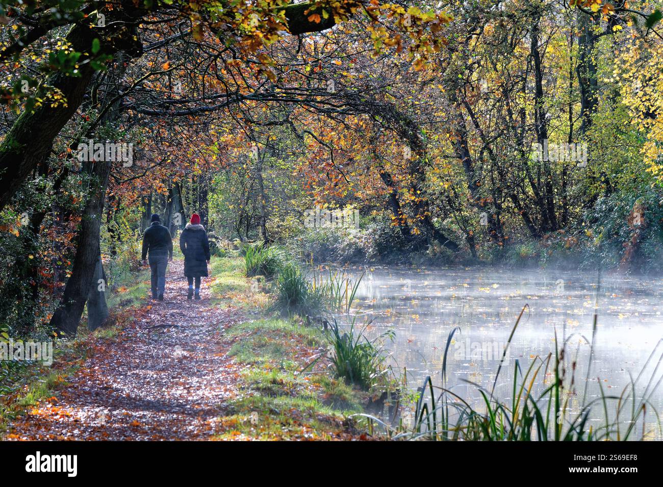 Rear view of a couple walking on the towpath by the river Wey ...