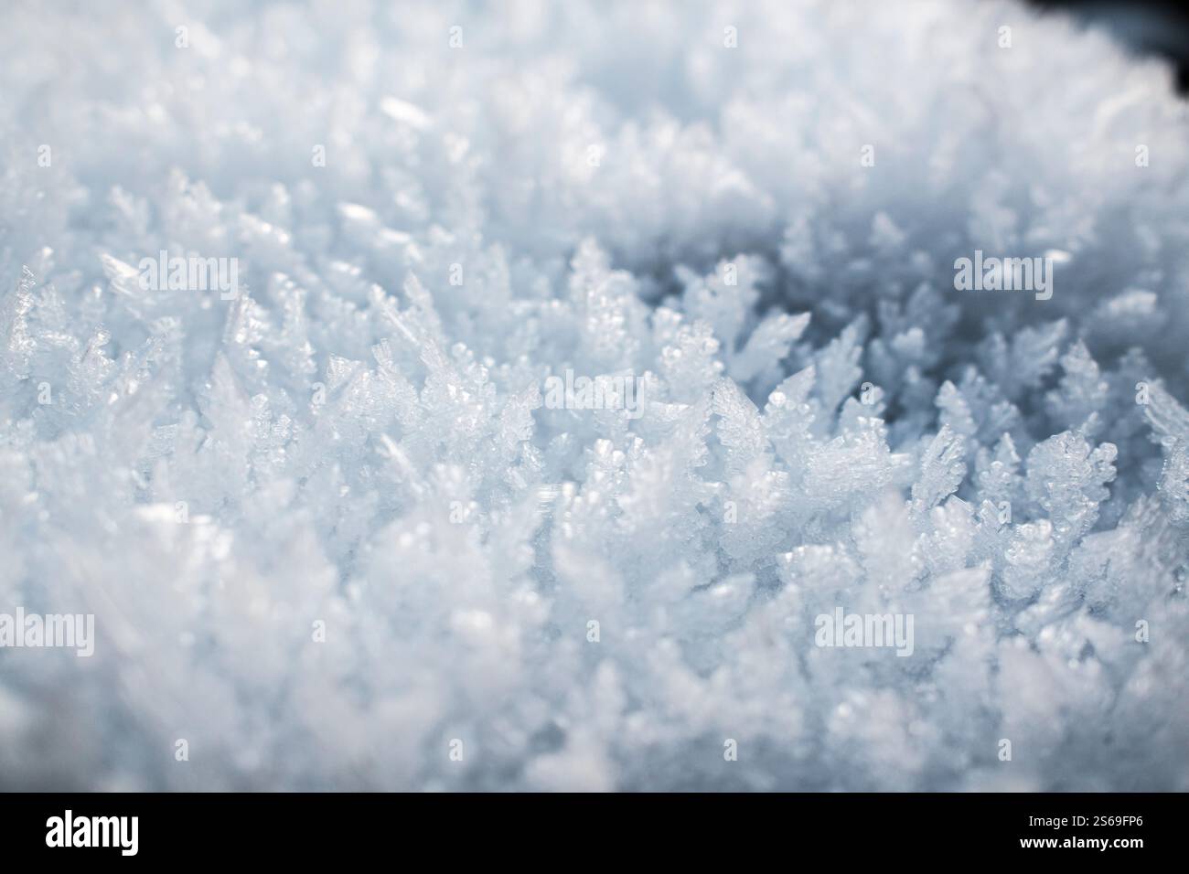 Frost crystals on snow in a UK garden Stock Photo - Alamy