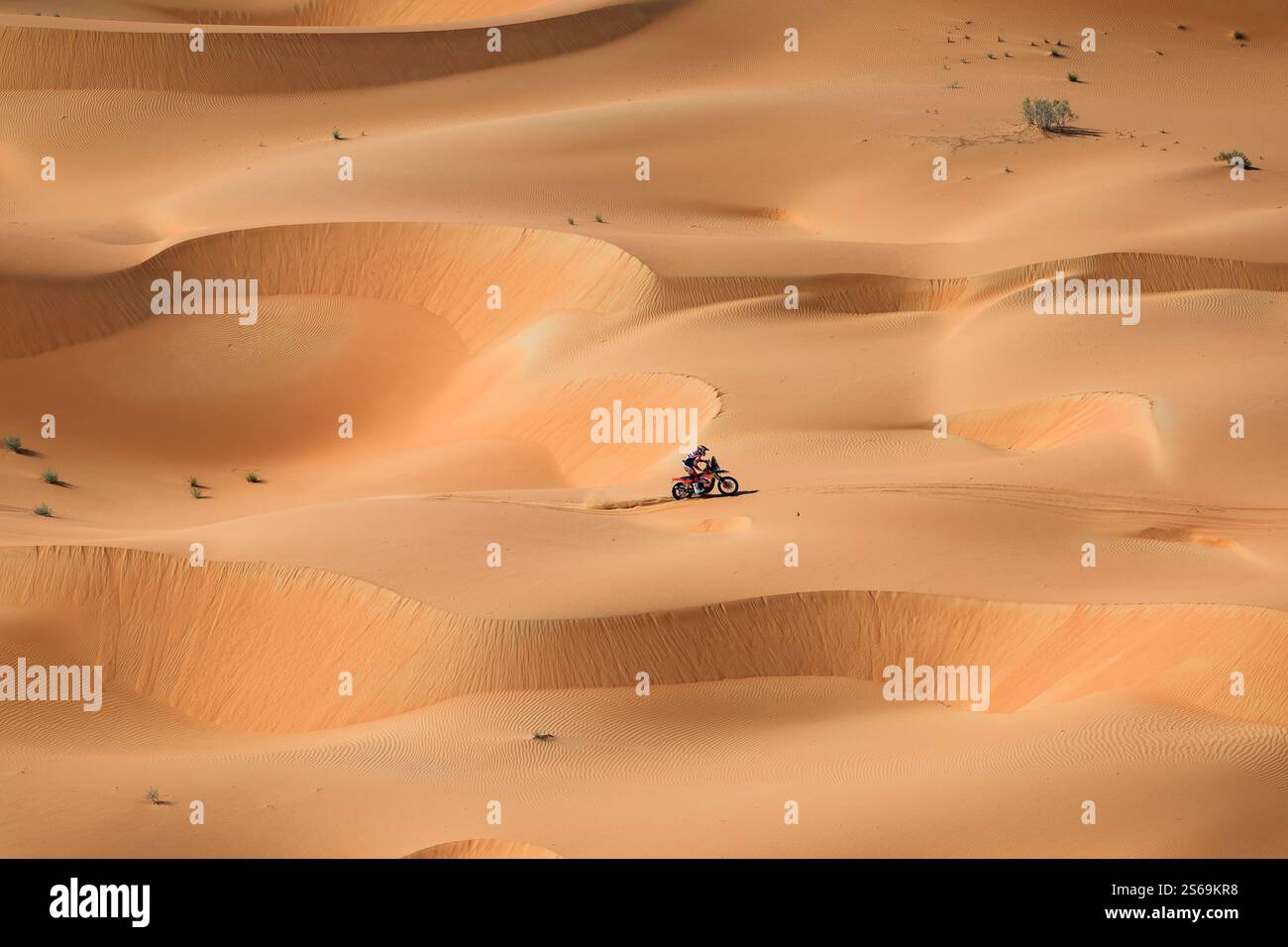 Subaytah, Arabie Saoudite. 16th Jan, 2025. 04 SANDERS Daniel (aus), KTM, Red Bull KTM Factory ...