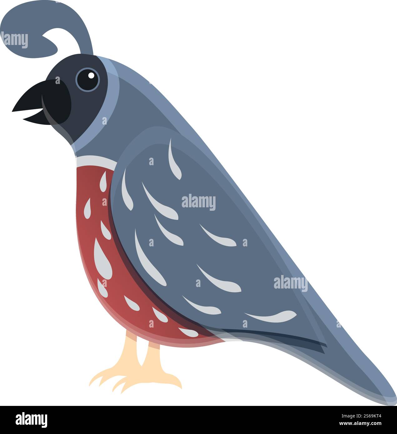 Chicken quail icon. Cartoon of chicken quail vector icon for web design ...