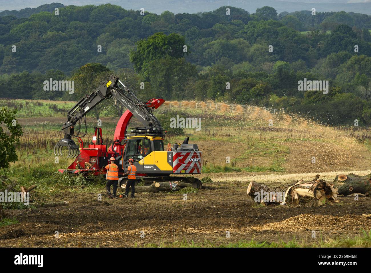 Men working to remove trees (construction site, green field land loss ...