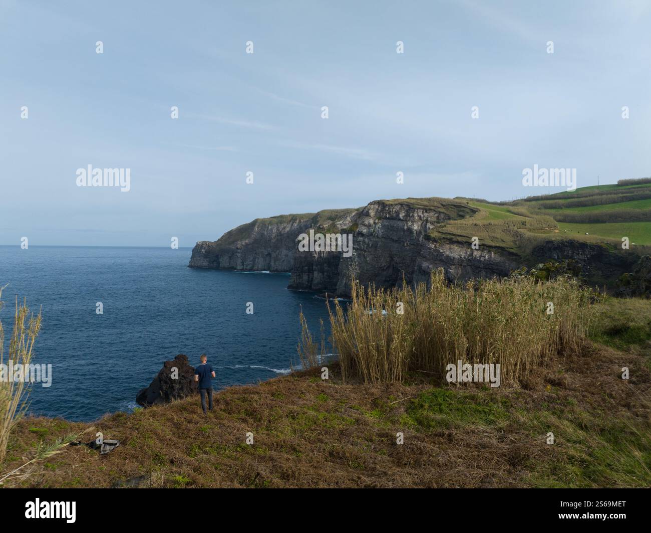 green grassland and rock land landscape of the Azores islands in the ...