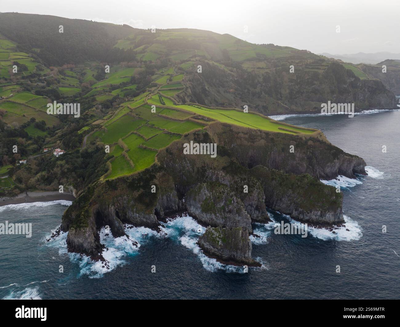 green grassland and rock land landscape of the Azores islands in the ...