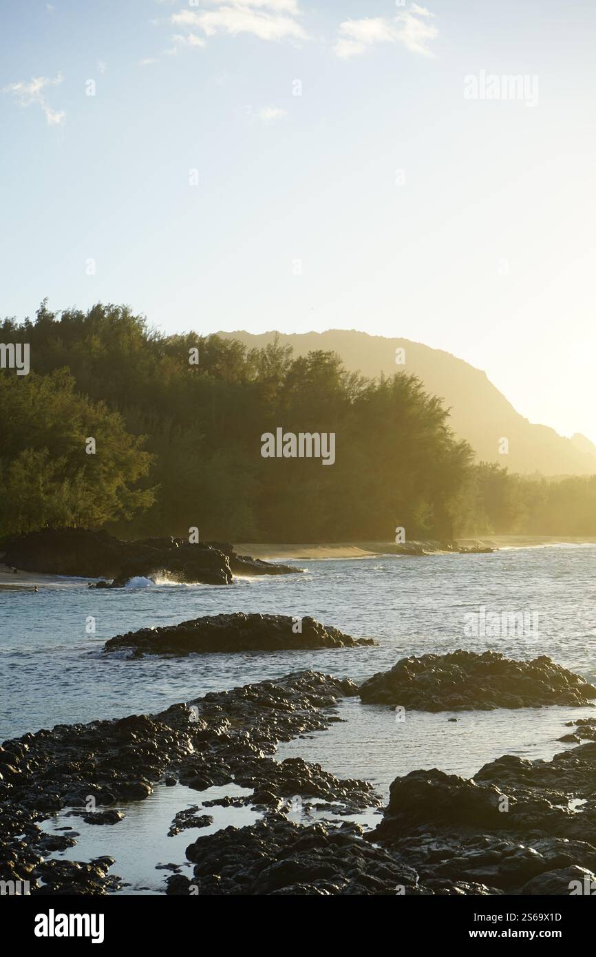 Vibrant coastal landscape lush greenery hi-res stock photography and ...