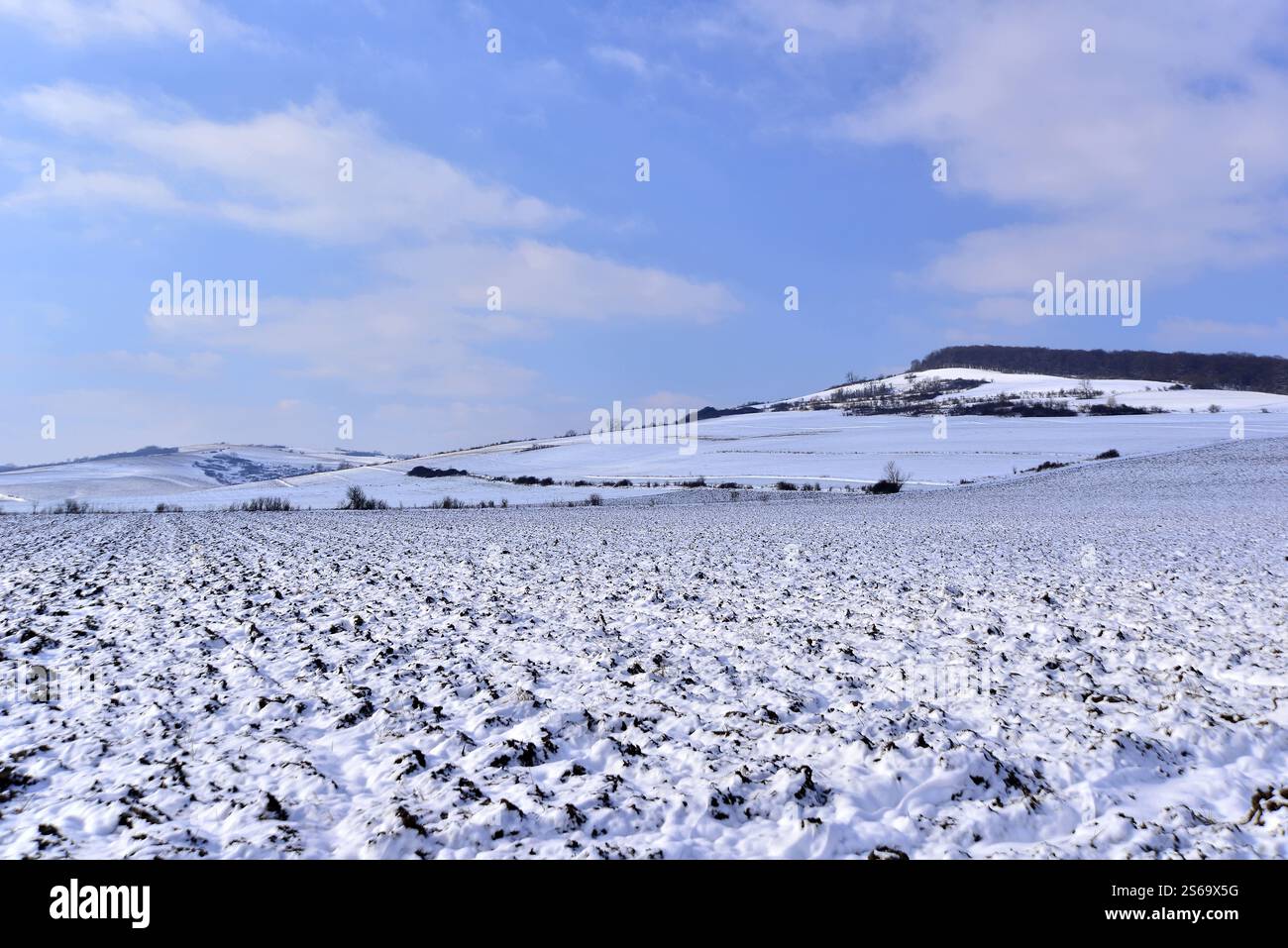 Agriculture, ploughed land in winter rest Stock Photo - Alamy