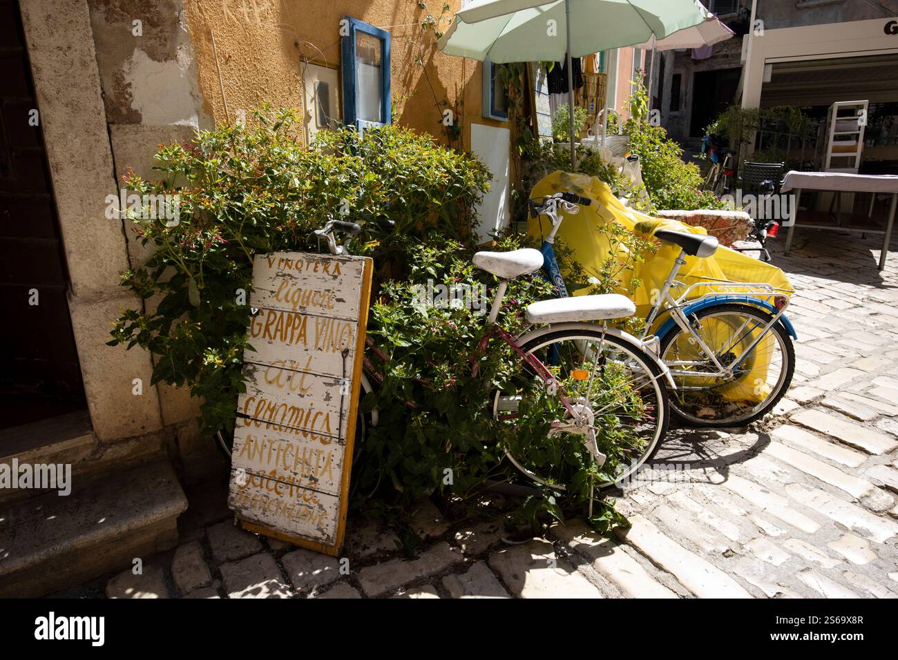 Rovinj archipelago, town (also known as St. Andrew's island) in Istria ...