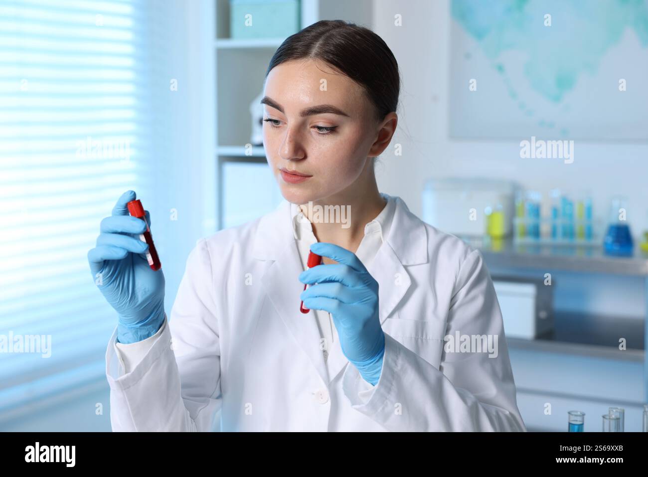 Laboratory testing. Doctor holding test tubes with blood samples ...