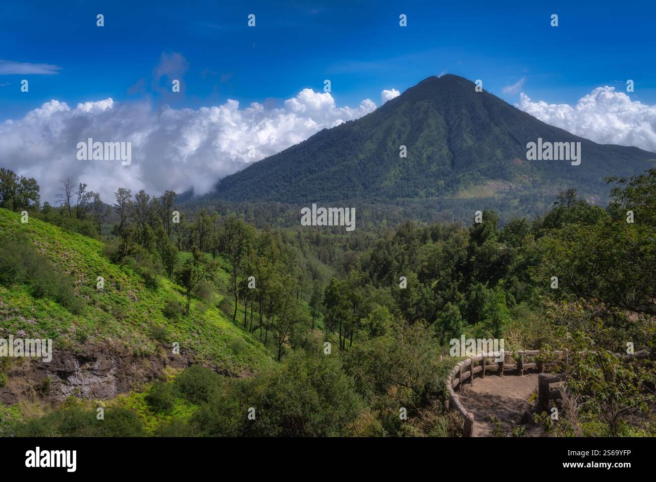 Explore the stunning landscape featuring a volcano, dense forests, and ...