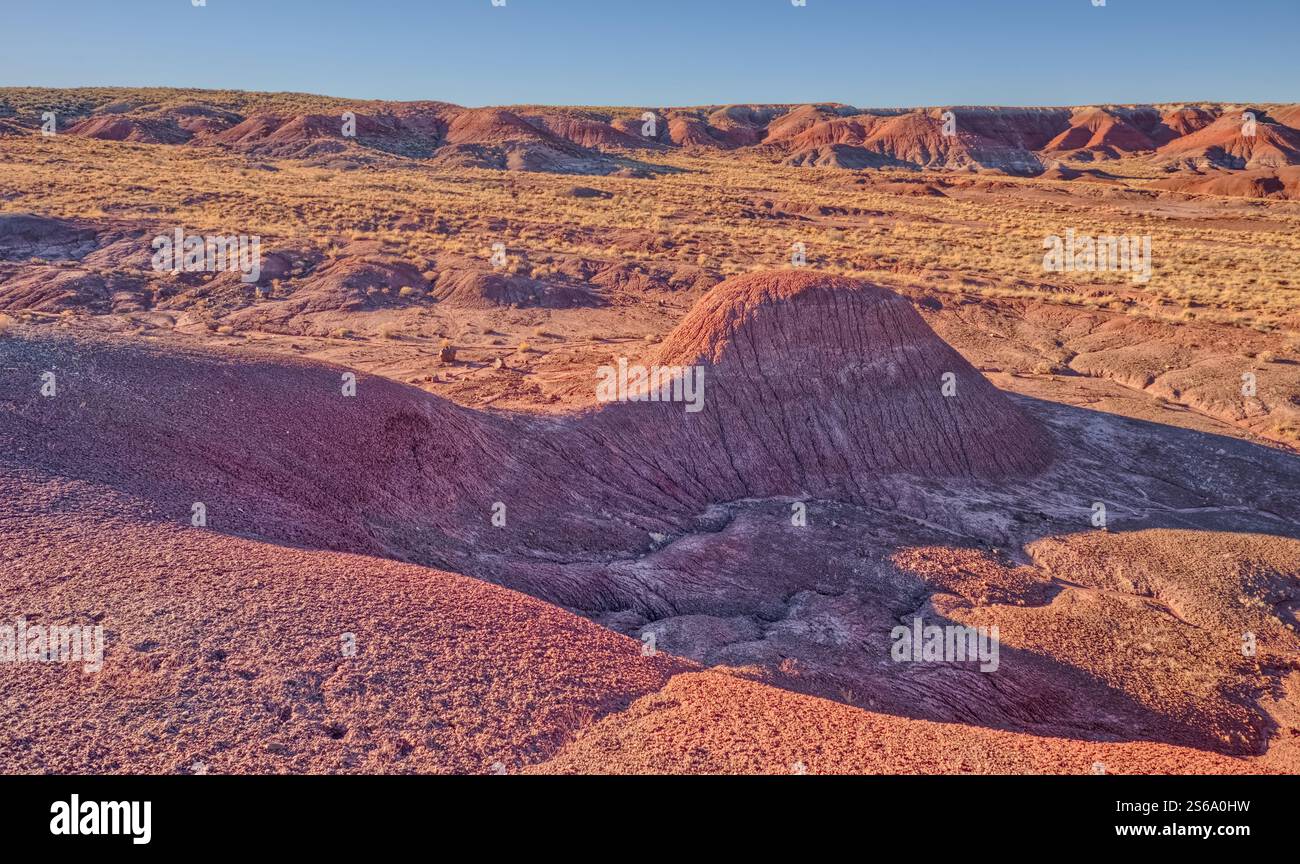 Red hills of bentonite clay overlooking Dead Wash in Petrified Forest ...