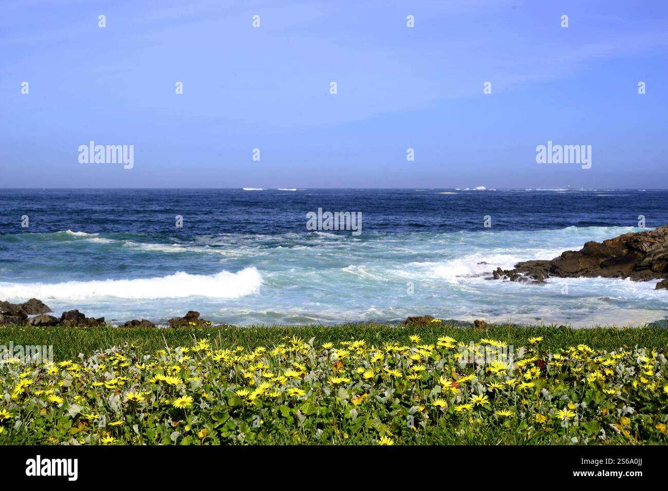 Green and blue landscape of an April morning on the Way of Saint James ...