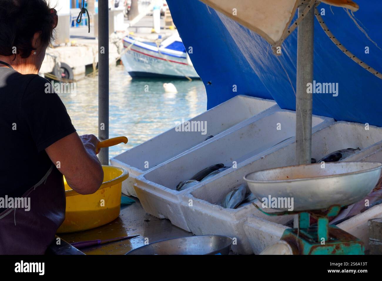 A woman cleaning fish at the fish market in Kos harbor Stock Photo - Alamy