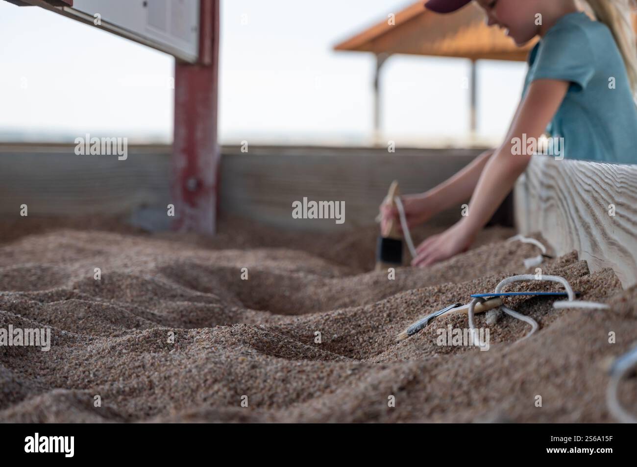 Child brushing away sand at a dinosaur fossil dig exhibit Stock Photo ...