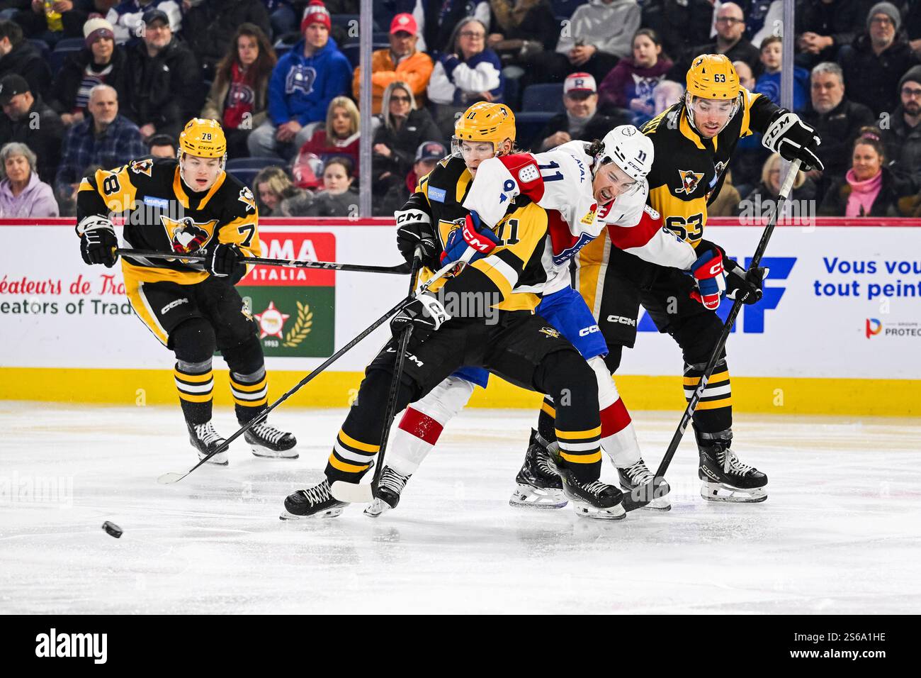 LAVAL, QC - JANUARY 15: Wilkes-Barre/Scranton Penguins center Vasily ...