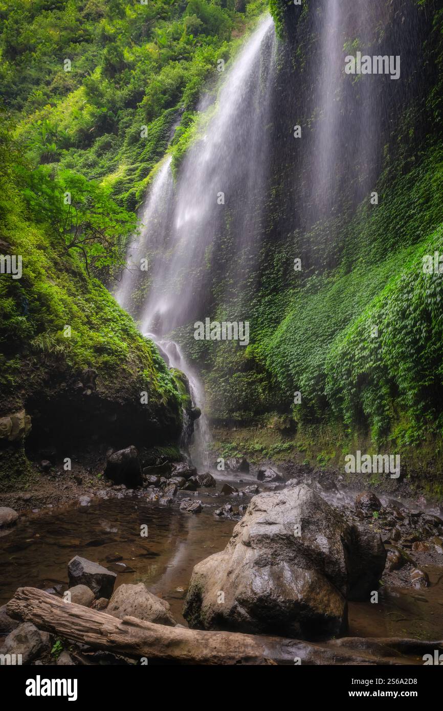 A stunning Madakaripura Waterfall gracefully cascades down rugged rocks ...