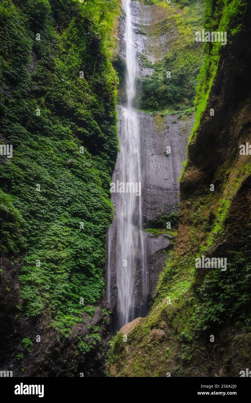 A stunningly beautiful Madakaripura Waterfall cascades gracefully down ...
