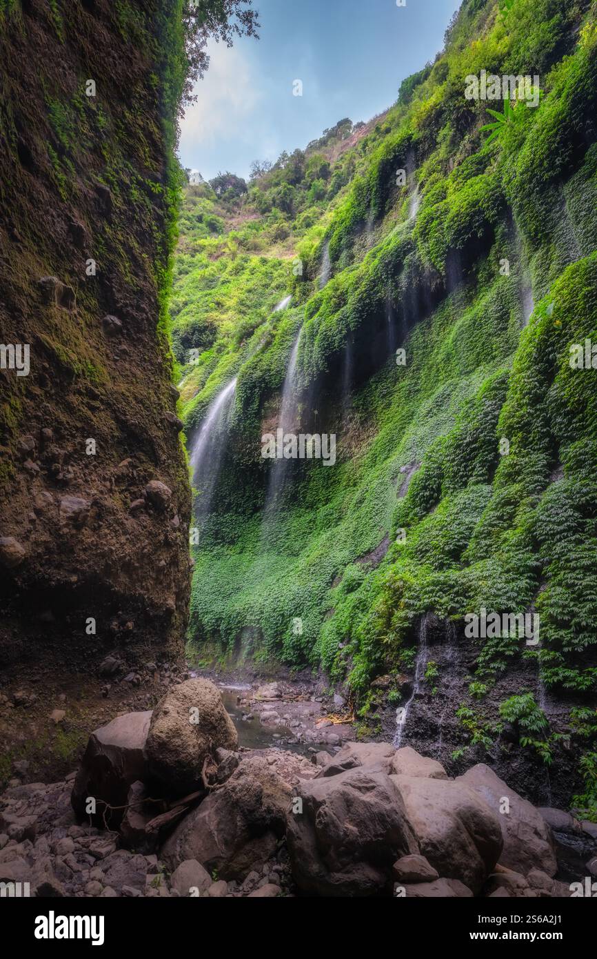 A stunning Madakaripura Waterfall cascades through a vibrant canyon ...