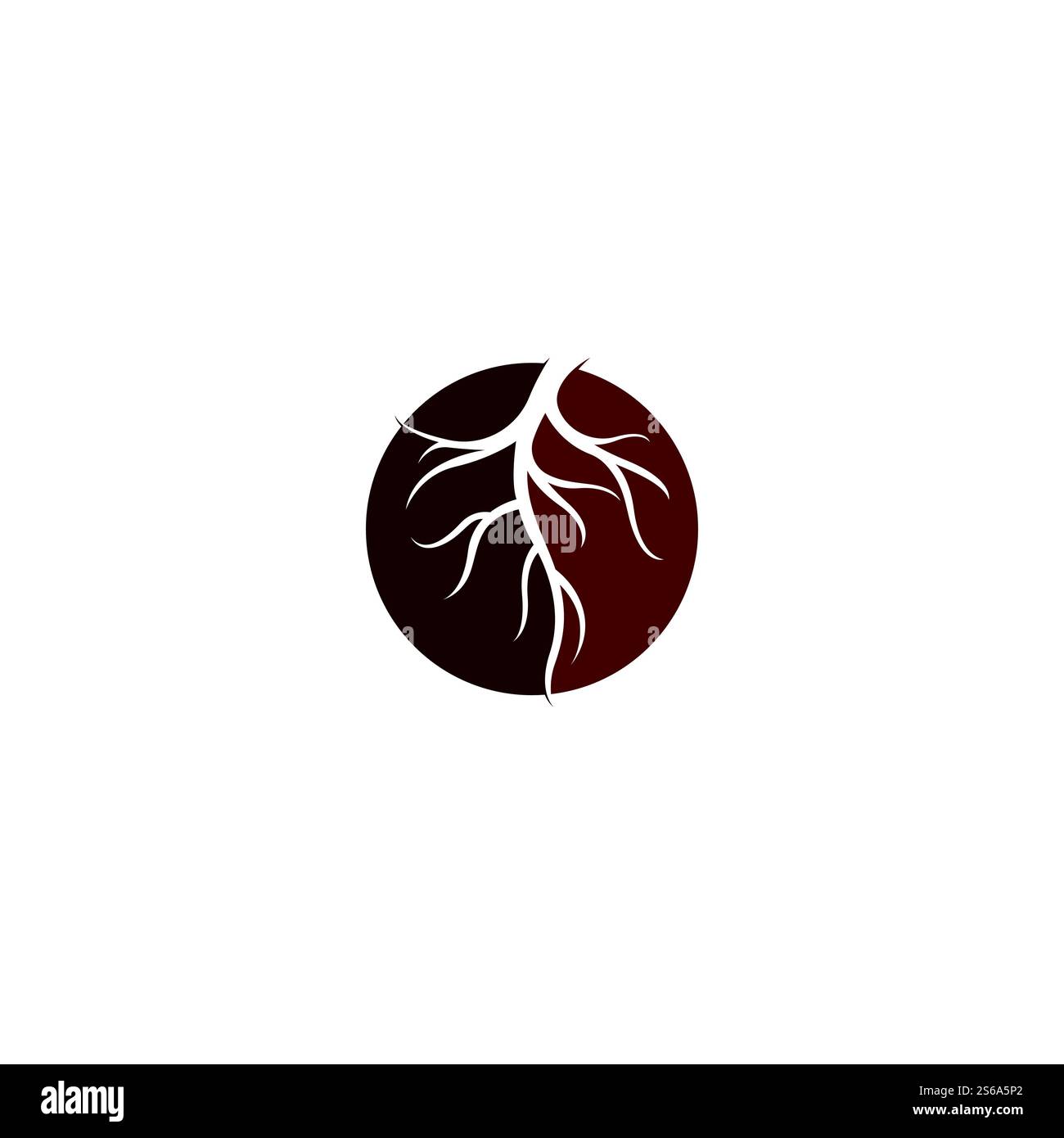 Root vector illustration template design Stock Vector Image & Art - Alamy