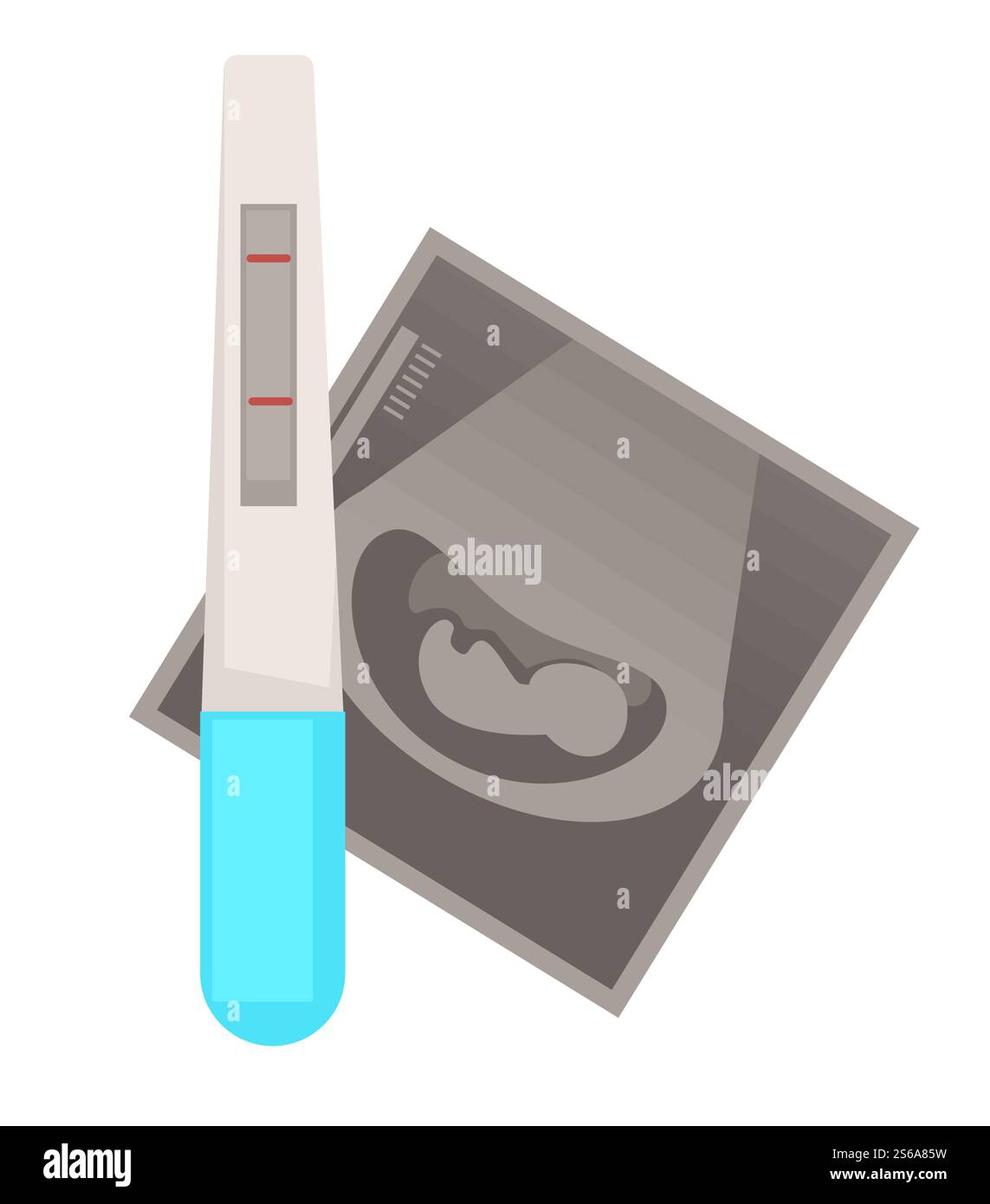 Fertilization pregnancy positive test and ultrasound baby in uterus ...