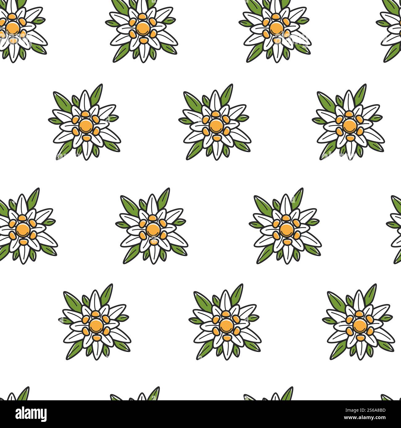 Austrian symbol edelweiss wild flower seamless pattern vector plant ...
