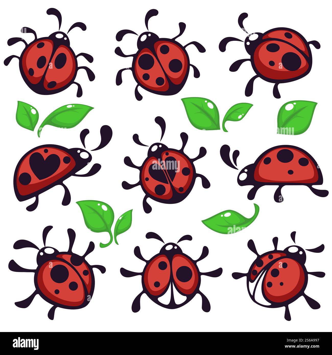 Bug or insect ladybug or ladybird and leaves isolated animal vector ...