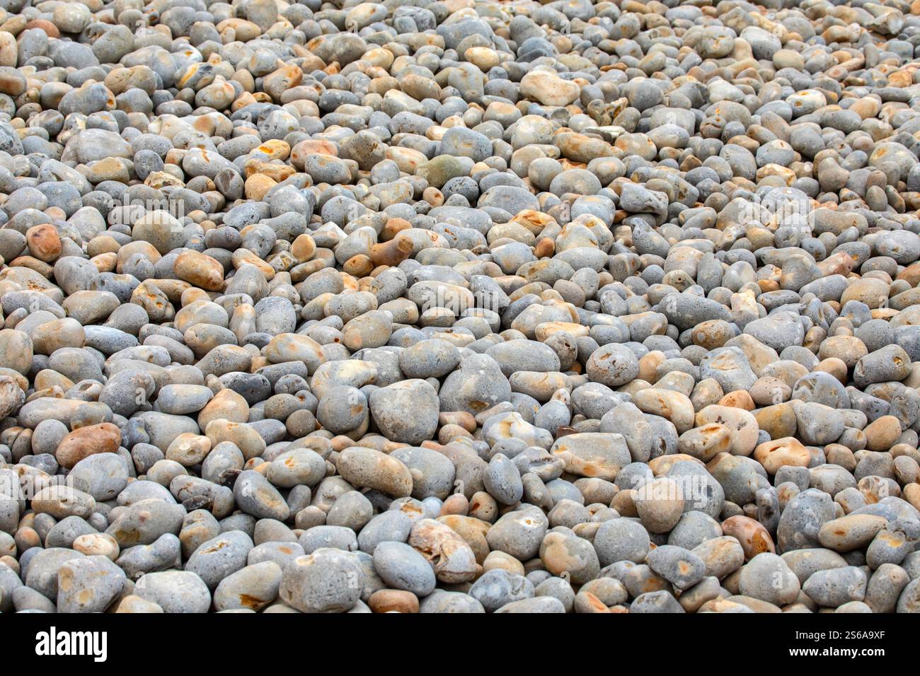 Pebbles on the shore of Alum Bay on the Isle of Wight in the UK Stock ...