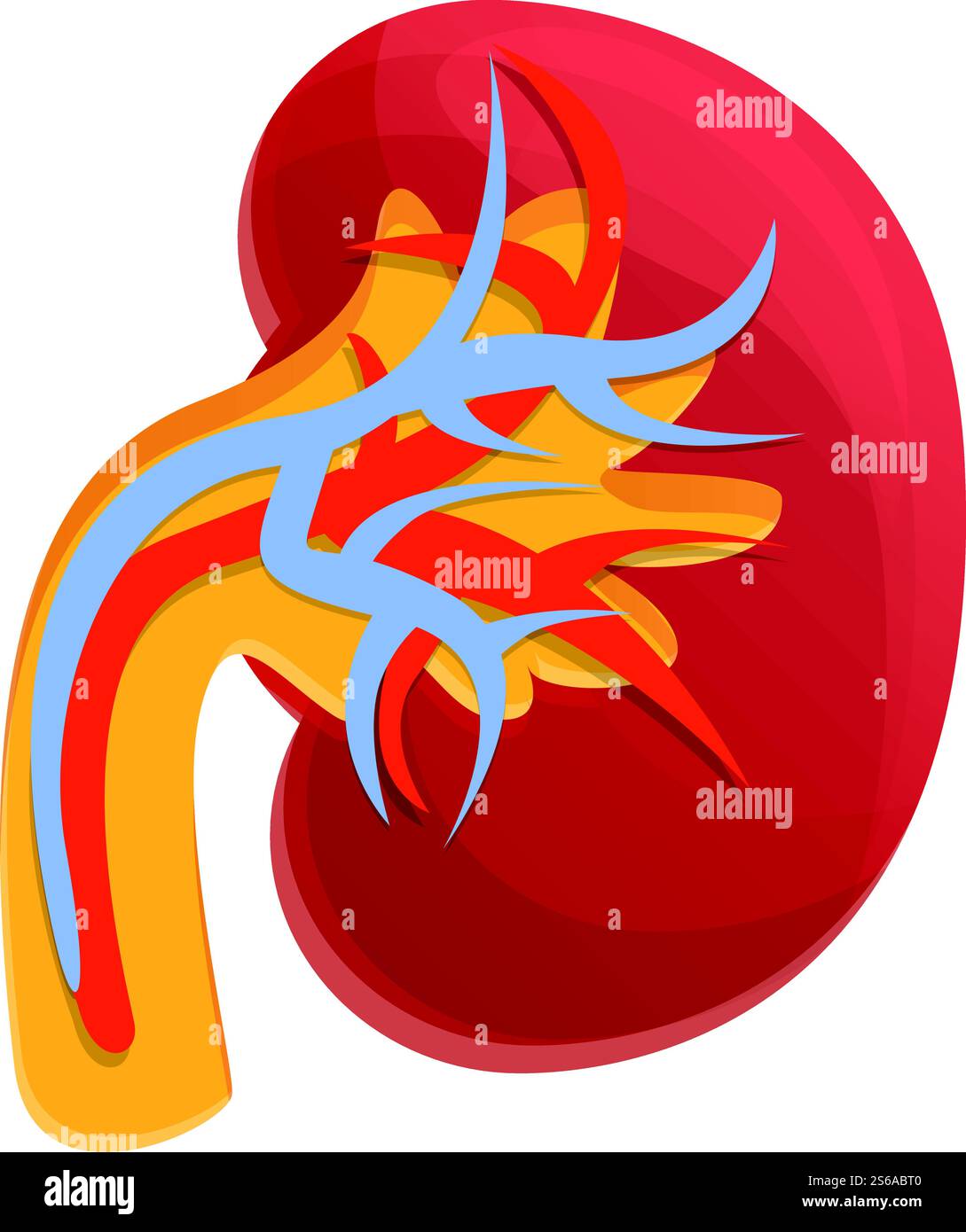 Dialysis kidney icon. Cartoon of dialysis kidney vector icon for web ...