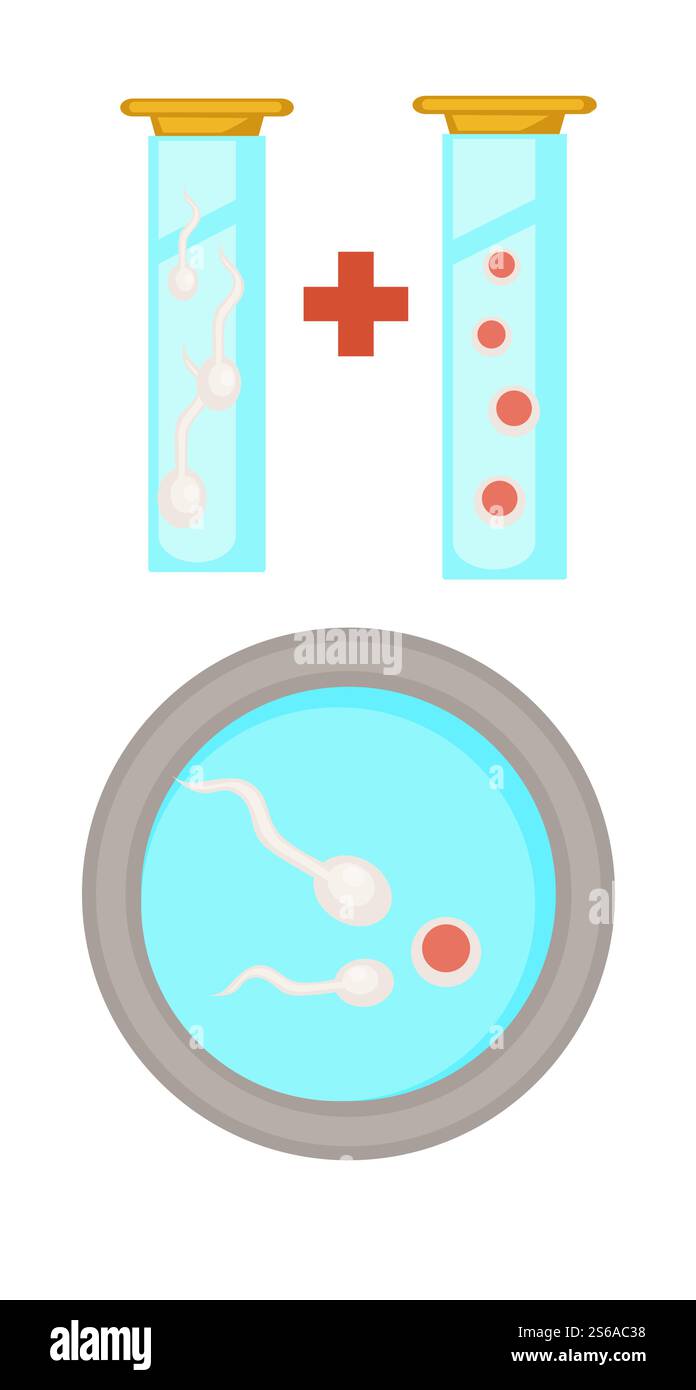 In vitro fertilization co-incubation stage artificial insemination ...