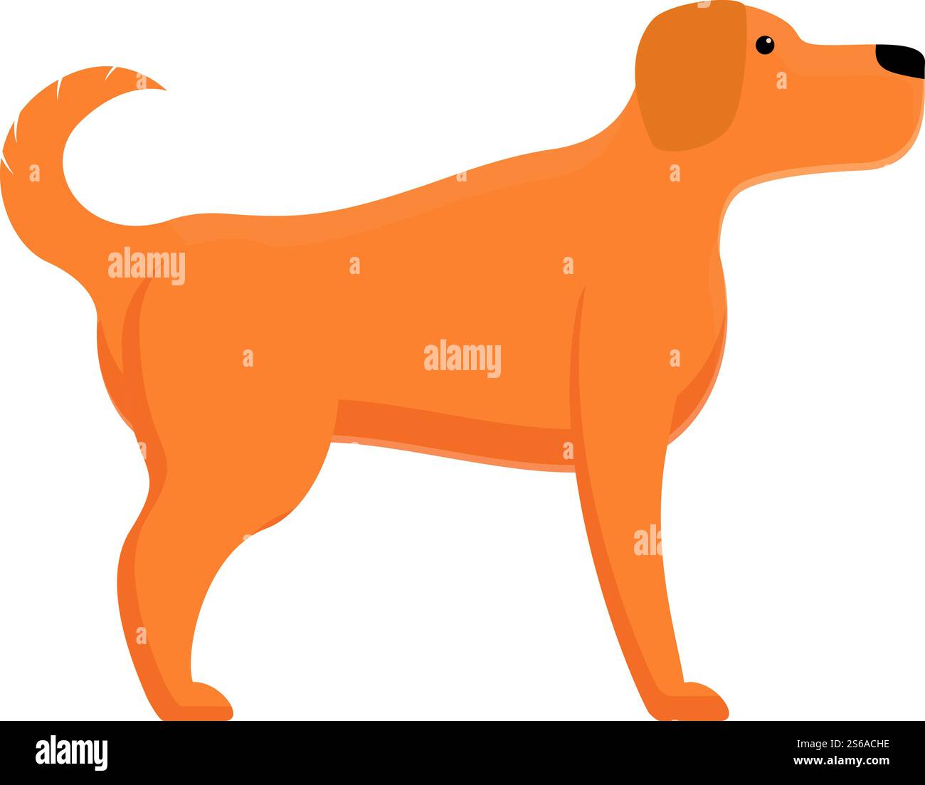 Dog command icon. Cartoon of dog command vector icon for web design ...