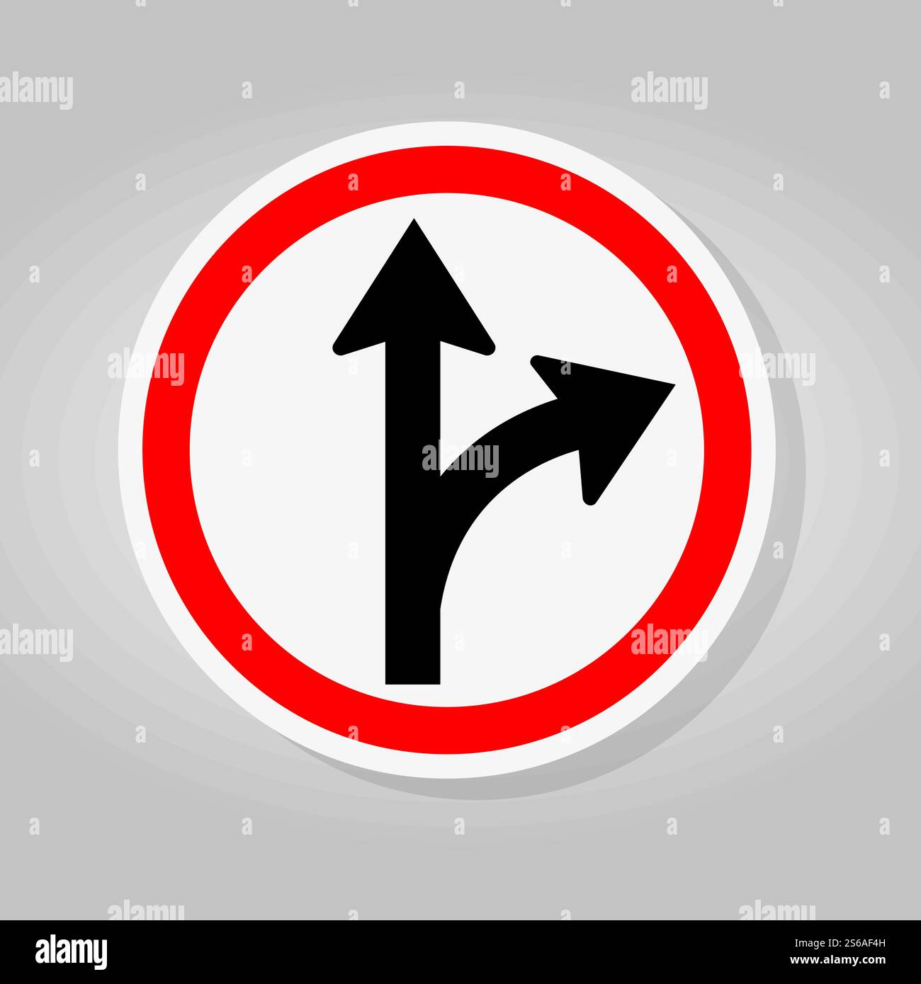 Proceed Straight Or Turn Right Road Sign Isolate On White Background ...